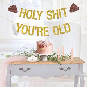 RoadSea Holy Shit You're Old Banner - Funny Birthday Party Garland Supplies for Adult - 30th 40th 50th 60th 70th 80th Birthday Party Decorations - Gold Glitter