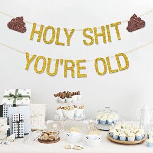 RoadSea Holy Shit You're Old Banner - Funny Birthday Party Garland Supplies for Adult - 30th 40th 50th 60th 70th 80th Birthday Party Decorations - Gold Glitter