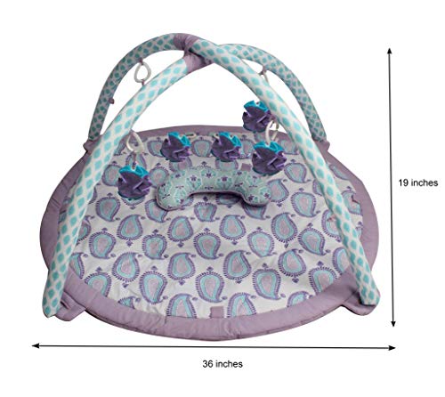 Bacati Isabella Girls Paisley Baby Activity Gym with Mat, Lilac/Purple/Aqua