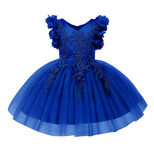 Flower Girl Applique Embroidery Dress Toddler Girls Tulle Princess Wedding Dress Birthday Pageant Lace Bridesmaid First Communion Tutu Dress Christening Formal Party Ball Gowns Royal Blue 11-12 Years