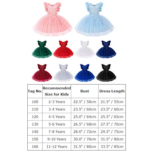 Flower Girl Applique Embroidery Dress Toddler Girls Tulle Princess Wedding Dress Birthday Pageant Lace Bridesmaid First Communion Tutu Dress Christening Formal Party Ball Gowns Royal Blue 11-12 Years