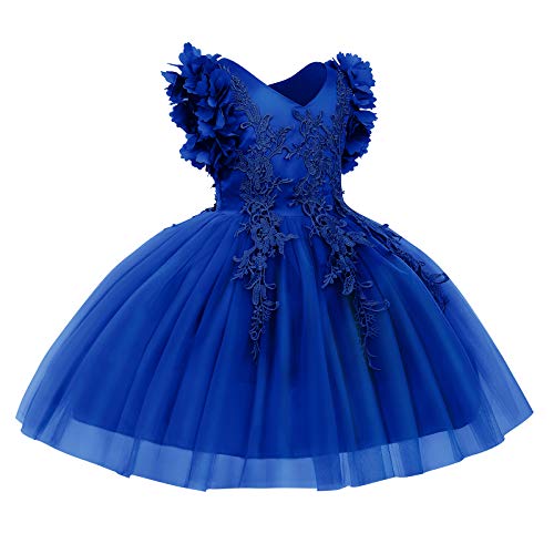 Flower Girl Applique Embroidery Dress Toddler Girls Tulle Princess Wedding Dress Birthday Pageant Lace Bridesmaid First Communion Tutu Dress Christening Formal Party Ball Gowns Royal Blue 11-12 Years