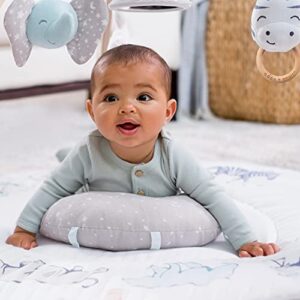 aden + anais Git Set Bundle - Play and Discover Baby Activity Gym - Jungle Jam Swaddle Blanket, 4 Pack