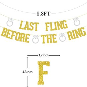 Last Fling Before The Ring Banner Gold & Silver Glitter, Bachelorette Party Decoration Banners, Bachelorette Sign Bachelorette Party Photo Props