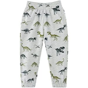 wawsam dinosaur boy pants – dino jogger sweatpants cotton pull on pants for toddler boys dinosaur jogger athletic trousers gray loose baby elastic waist bottoms