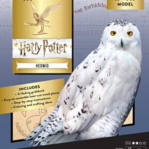 Harry Potter Hedwig 3D Wood Puzzle & Model Figure Kit (24 Pcs) - Build & Paint Your Own 3-D Movie Toy - Holiday Educational Gift for Kids & Adults, No Glue Required, 8+ 