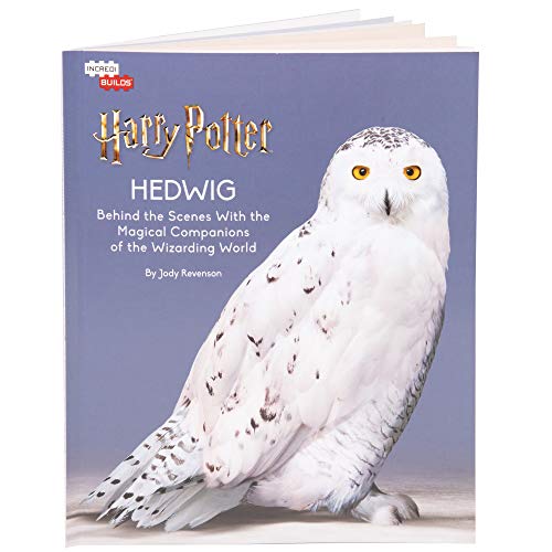 Harry Potter Hedwig 3D Wood Puzzle & Model Figure Kit (24 Pcs) - Build & Paint Your Own 3-D Movie Toy - Holiday Educational Gift for Kids & Adults, No Glue Required, 8+ 