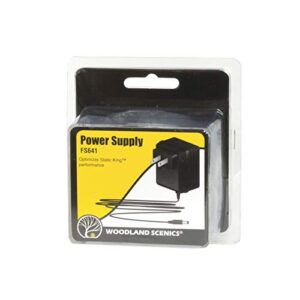 woodland scenics power supply, multi