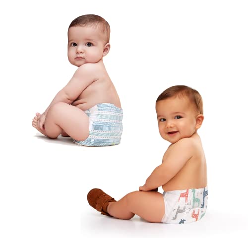 The Honest Company Clean Conscious Diapers | Plant-Based, Sustainable | Dots & Dashes + Multi-Colored Giraffes | Club Box, Size 1 (8-14 lbs), 80 Count