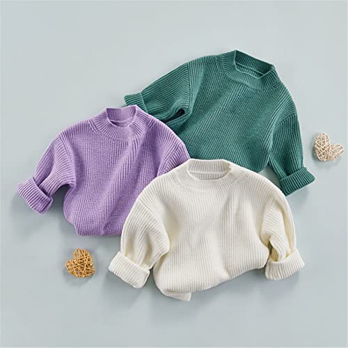 Toddler Baby Knit Sweater Kids Boy Girl Solid Color Long Sleeve Basic Pollover Top Fall Winter Warm Clothes（D-Green,12-24 Months