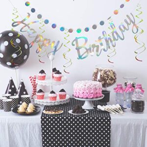 Artistrend Happy Birthday Banner Iridescent Silver Decorations Set with Garland and Swirls