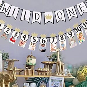 Cooper Live Wild One Banner - Wild One Birthday Wall Background Banner, Birthday Party Happy Birthday 1 Birthday Party, Wild One Photo Banner. Jungle First Birthday Photo Banner (White)