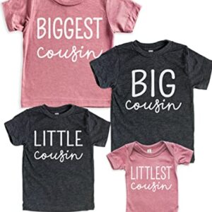 Teeny Fox Big Little Cousin Crew Shirts Biggest Littlest Tee Toddler T-Shirt Baby Bodysuit Set for Family Matching Outfit