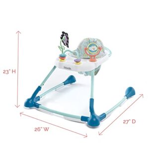 Kolcraft Tiny Steps Too 2-in-1 Infant and Baby Activity Push Walker with Steel Base, Seated or Walk-Behind with wheels for Baby Girl or Boy - Clouds and Rainbows