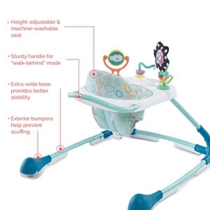 Kolcraft Tiny Steps Too 2-in-1 Infant and Baby Activity Push Walker with Steel Base, Seated or Walk-Behind with wheels for Baby Girl or Boy - Clouds and Rainbows