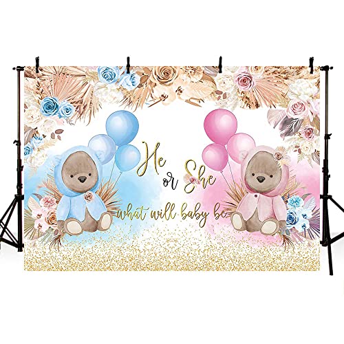 AIBIIN Boho Bear Gender Reveal Backdrop Boho Baby Shower Gender Reveal Party Decorations Banner He or She What Will Baby Be Photo Background Pink and Blue Pampas Grass Gender Reveal Banner Vinyl 7x5ft