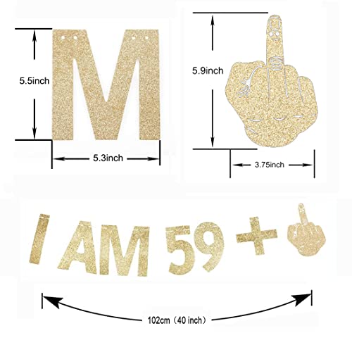 Morndew Gold Gliter I AM 59+1 Paper Banner for 60th Birthday Party Sign Backdrops Funny/Gag 60 Bday Party Wedding Anniversary Celebration Party Retirement Party Decorations