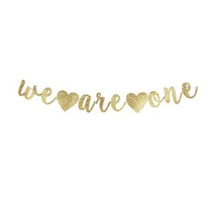 we are one banner, twins baby shower/1st birthday party decorations gold gliter paper letters sign