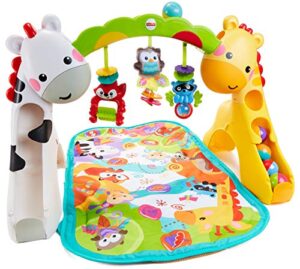 fisher-price newborn-to-toddler play gym with music and lights [amazon exclusive]