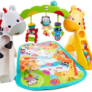 Fisher-Price Newborn-To-Toddler Play Gym With Music and Lights [Amazon Exclusive]