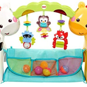 Fisher-Price Newborn-To-Toddler Play Gym With Music and Lights [Amazon Exclusive]