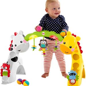 Fisher-Price Newborn-To-Toddler Play Gym With Music and Lights [Amazon Exclusive]