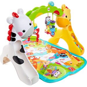 Fisher-Price Newborn-To-Toddler Play Gym With Music and Lights [Amazon Exclusive]