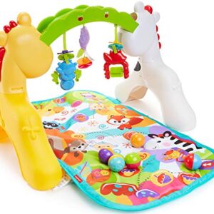 Fisher-Price Newborn-To-Toddler Play Gym With Music and Lights [Amazon Exclusive]