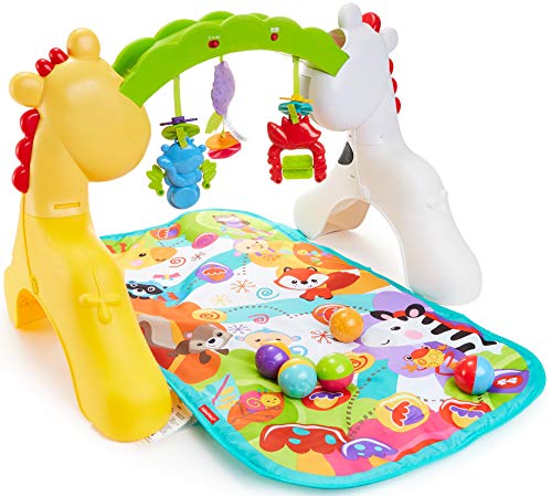 Fisher-Price Newborn-To-Toddler Play Gym With Music and Lights [Amazon Exclusive]