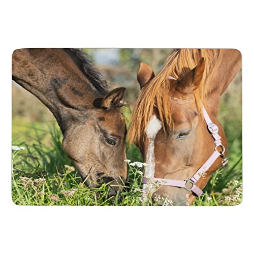 ERUXUGB Cutest Baby Animals | Horse Colt Coral Velvet Floor mat（150×100cm）