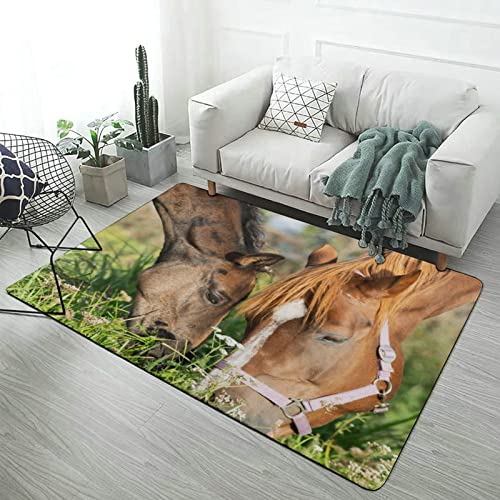 ERUXUGB Cutest Baby Animals | Horse Colt Coral Velvet Floor mat（150×100cm）