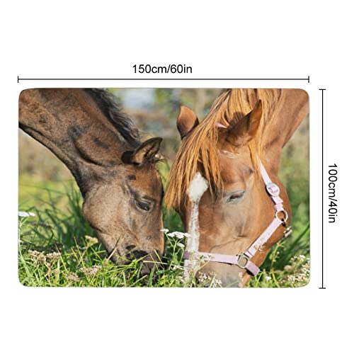 ERUXUGB Cutest Baby Animals | Horse Colt Coral Velvet Floor mat（150×100cm）