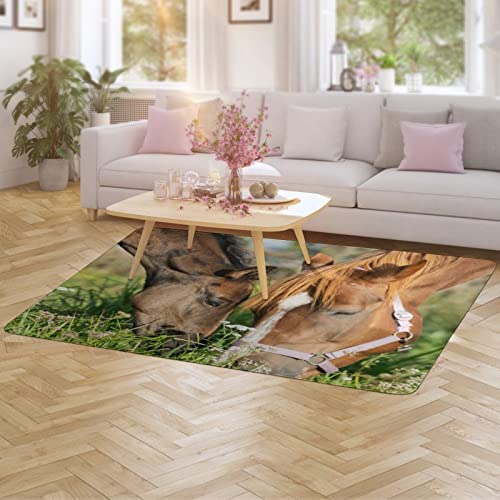 ERUXUGB Cutest Baby Animals | Horse Colt Coral Velvet Floor mat（150×100cm）