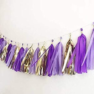 Purple Gold Baby Shower Decorations Qian's Party Purple and Gold Princess Birthday Party Decorations Purple Princess Baby Shower Confetti Purple & Gold Party Decor