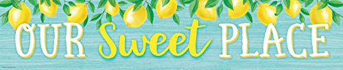 Teacher Created Resources Lemon Zest Our Sweet Place Banner (TCR8492)