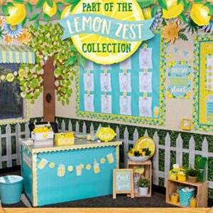 Teacher Created Resources Lemon Zest Our Sweet Place Banner (TCR8492)