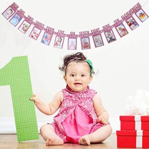 First Birthday Party Photo Banner, Baby Sign Decors from New Born to Twelve Months, Pink Glitter Baby's 1st Birthday Party Photo Booth Bunting Supplies