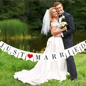 Just Married Wedding Banner Car Decorations (Banner + LED Light + Decal)