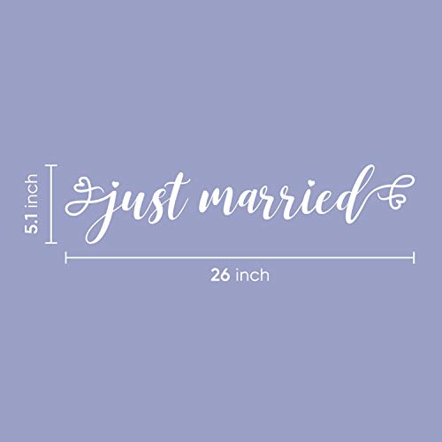 Just Married Wedding Banner Car Decorations (Banner + LED Light + Decal)