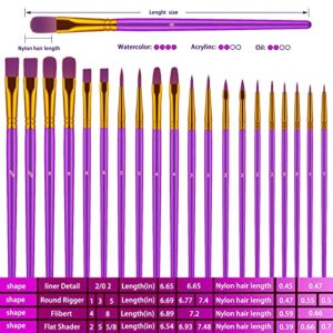 Paint Brushes Set, 2Pack 20 Pcs Paint Brushes for Acrylic Painting, Oil Watercolor Acrylic Paint Brush, Artist Paintbrushes for Body Face Rock Canvas, Kids Adult Drawing Arts Crafts Supplies, Purple