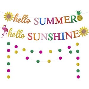 hello summer banner, glittery hello sunshine classroom decor sign, hello summer decorations for home office, hello summer birthday party decorations, sunflower flamingo pineapple hawaiian party decor