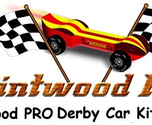 Pintwood Pro Plastic snap-Off Racing Accessories for Derby Cars