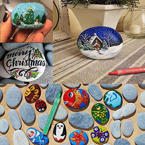 JR.WHITE Acrylic Paint Pens Paint Markers for Rock Painting, Canvas, Wood, Glass, Fabric, Metal, Plastic, Arts Crafts Easter Eggs, Pumpkin, Scrapbooking Supplies, Graffiti Markers for Adults Kids