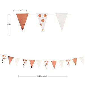 30Ft Rose Gold Polka Dot Pennant Banner Paper Circle Dot Triangle Flag Bunting Garland Streamer for Wedding Baby Bridal Shower Birthday Bachelorette Engagement Christmas Holiday Xmas Party Decorations