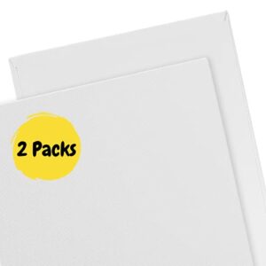 Mr. Pen- Canvas Panels, 2 Pack, 8x10 Inch, Triple Primed for Oil & Acrylic Paints, Canvas Boards for Painting, Painting, Drawing & Art Supplies, Blank Canvas for Painting, 3mm Thickness