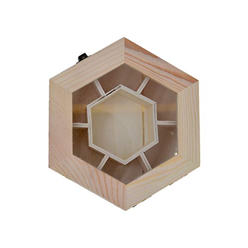 LoveinDIY Wooden Jewelry Box, Jewelry Organizer and Storage- Unfinished Wood – Hexagon Unfinished Wood with Clasp