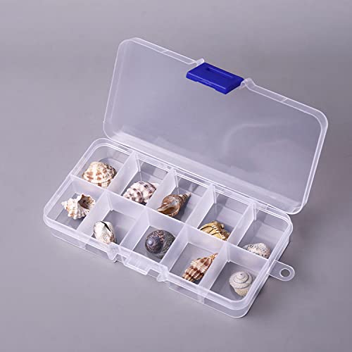 UHZBTEC 10 Grids Plastic Bead Organizer Box/Clear Crafts Thread Storage Containers with Removable Dividers (Free Letter Stickers)