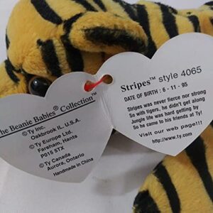 TY Beanie Baby - Stripes The Tiger