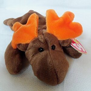 TY Beanie Babies 8`` Moose CHOCOLATE 5th Gen New w/ Tag ,#G14E6GE4R-GE 4-TEW6W228896