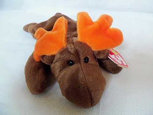 TY Beanie Babies 8`` Moose CHOCOLATE 5th Gen New w/ Tag ,#G14E6GE4R-GE 4-TEW6W228896